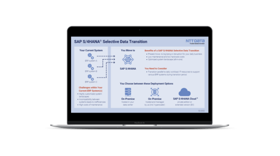 Download the Graphic: Selective Data Transition to SAP S/4HANA